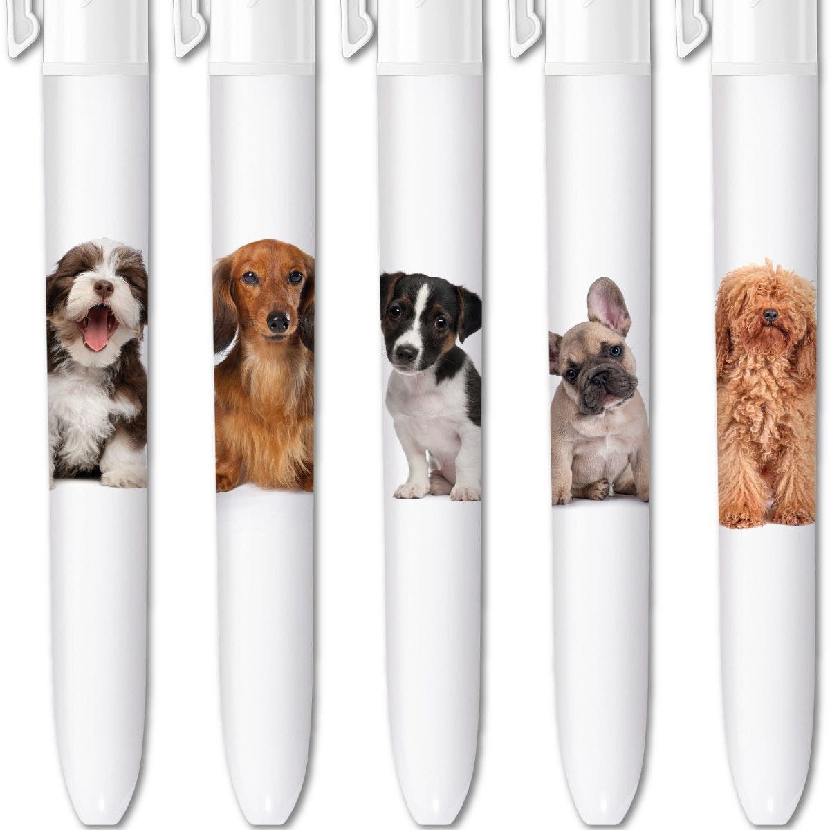 Collection BIC 4 Couleurs - Chiots BIC