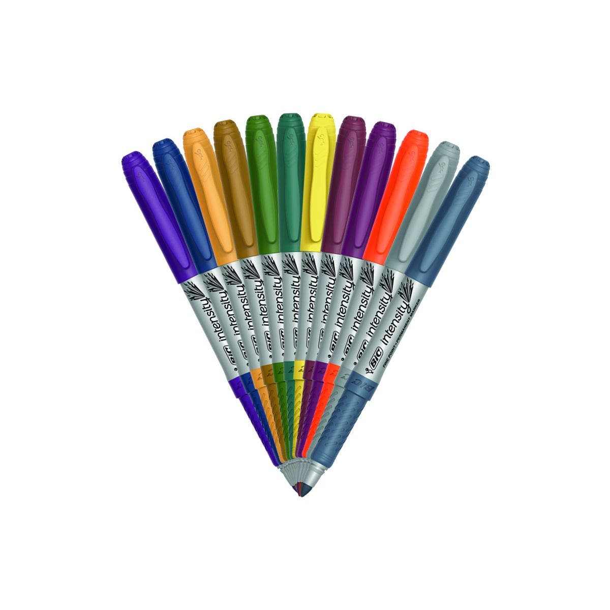 BIC Intensity Permanent Marker, Fine Point, Earth Tones, Single Marker ...